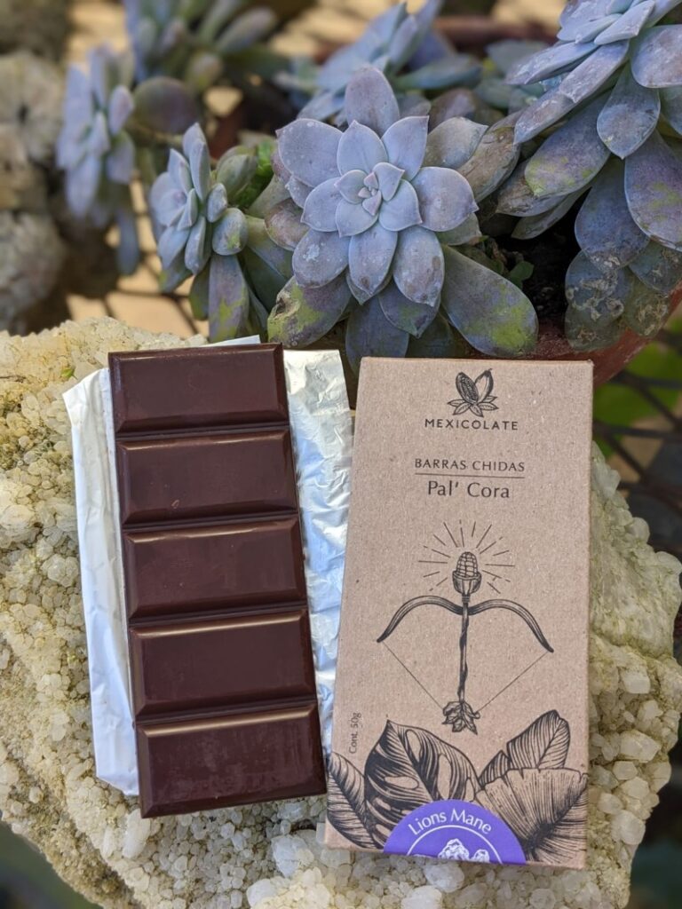 Barra de Chocolate - 50gr + Hongos - Mexicolate - Cacao Nativo